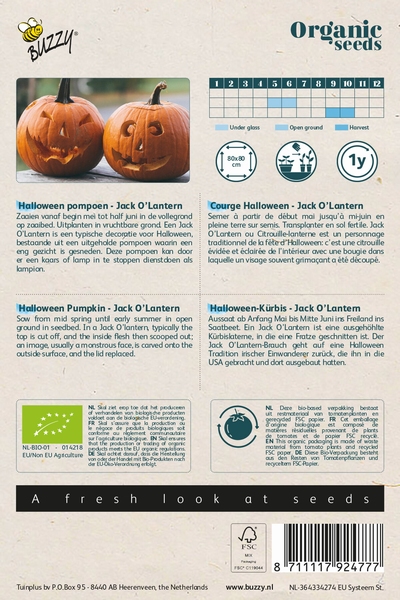 Bio Organic Pompoen Jack O'Lantern (BIO)